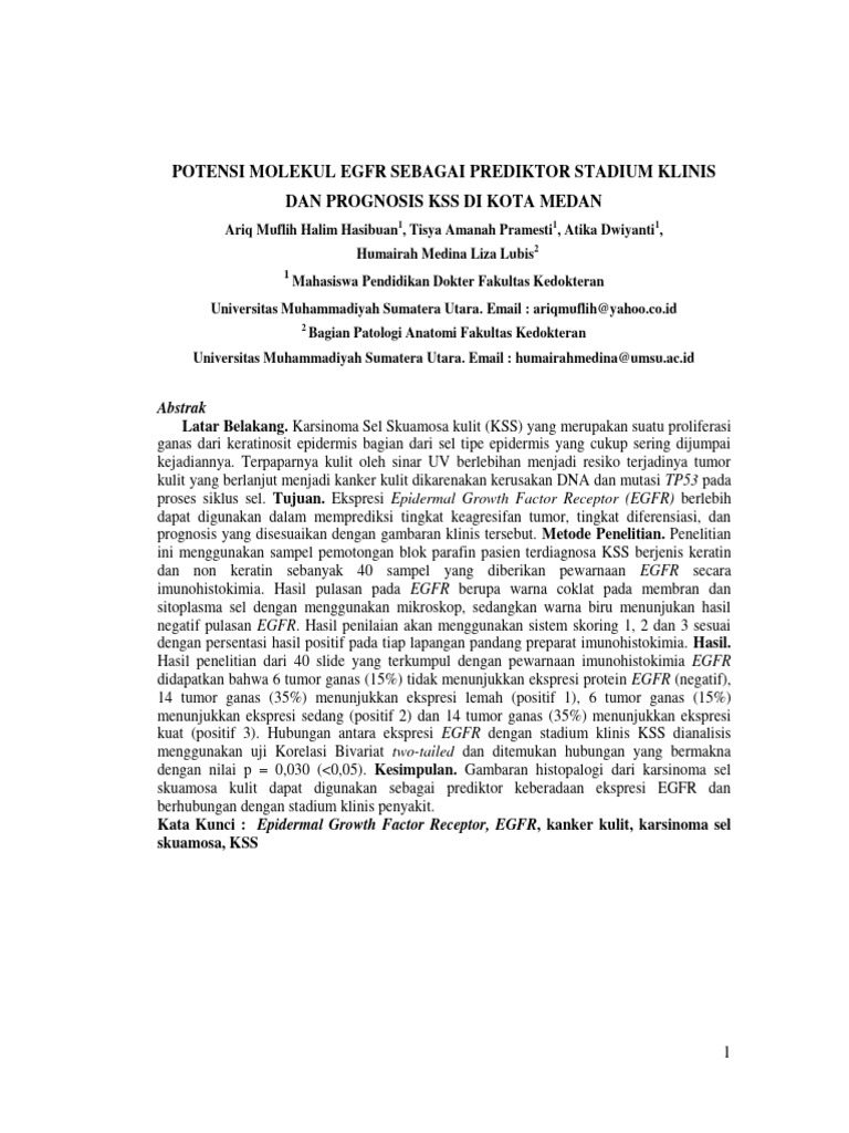 Artikel Ilmiah - ARIQ MUFLIH HALIM HASIBUAN - PKM-PE - Universitas Muhammadiyah Sumatera Utara | PDF