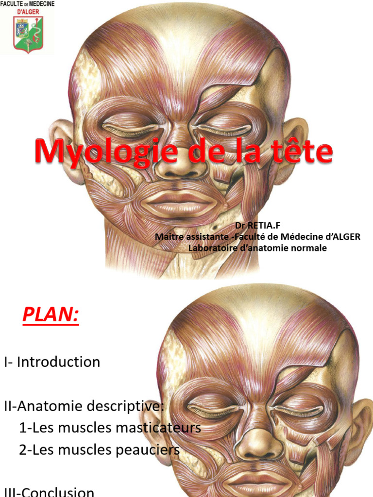 Anatomie des Muscles de la Tête | PDF