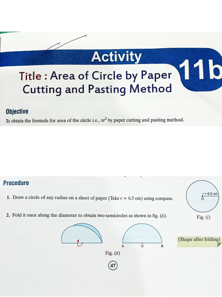 Activity - 3 (Math Practical) | PDF