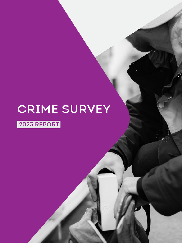 BRC Crime Survey 2023 | PDF