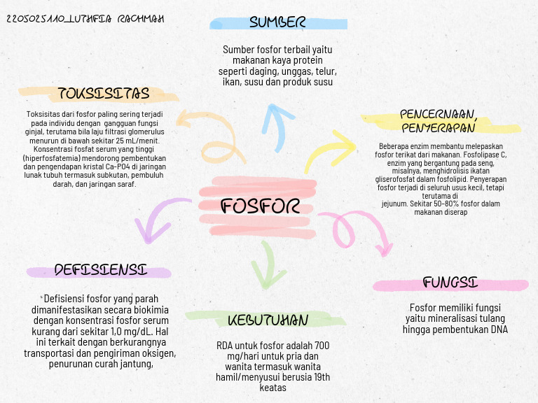 FOSFOR | PDF