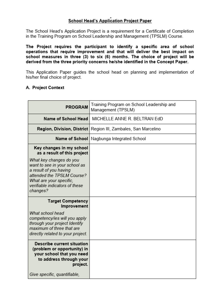 TPSLM Application Project Plan Template | PDF