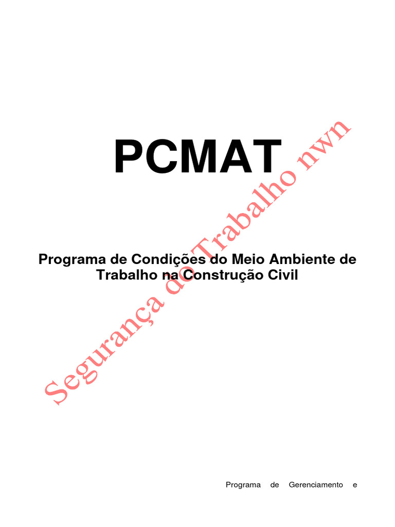 Modelo de Pcmat Completo | PDF