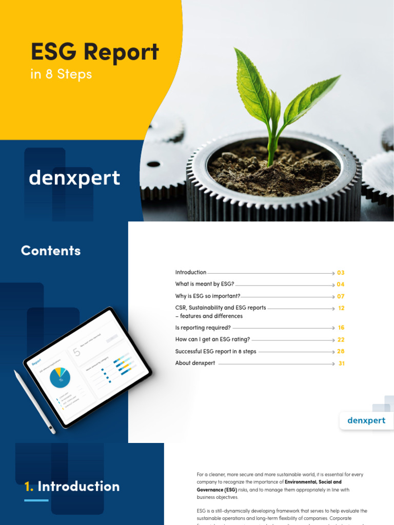 Denxpert Esg Ebook en Web05-3 | PDF | Career & Growth | Business