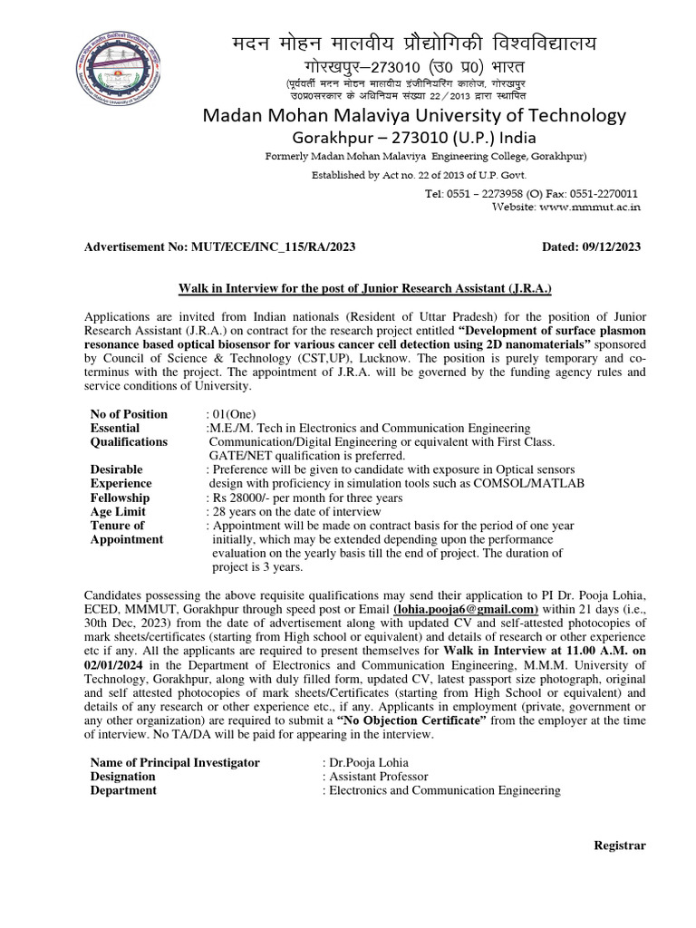 Advertisement For Website | PDF