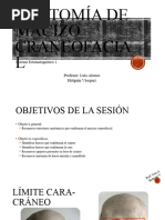 Guía de Reparos Anatómicos Óseos | PDF