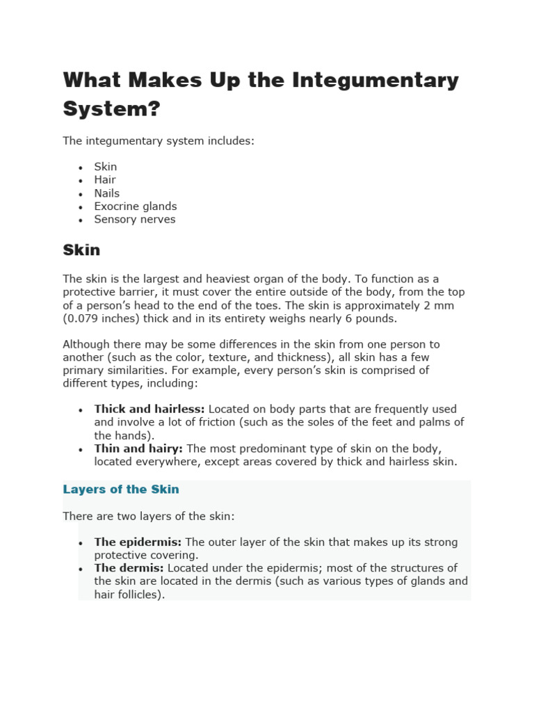 Integumentary System | PDF