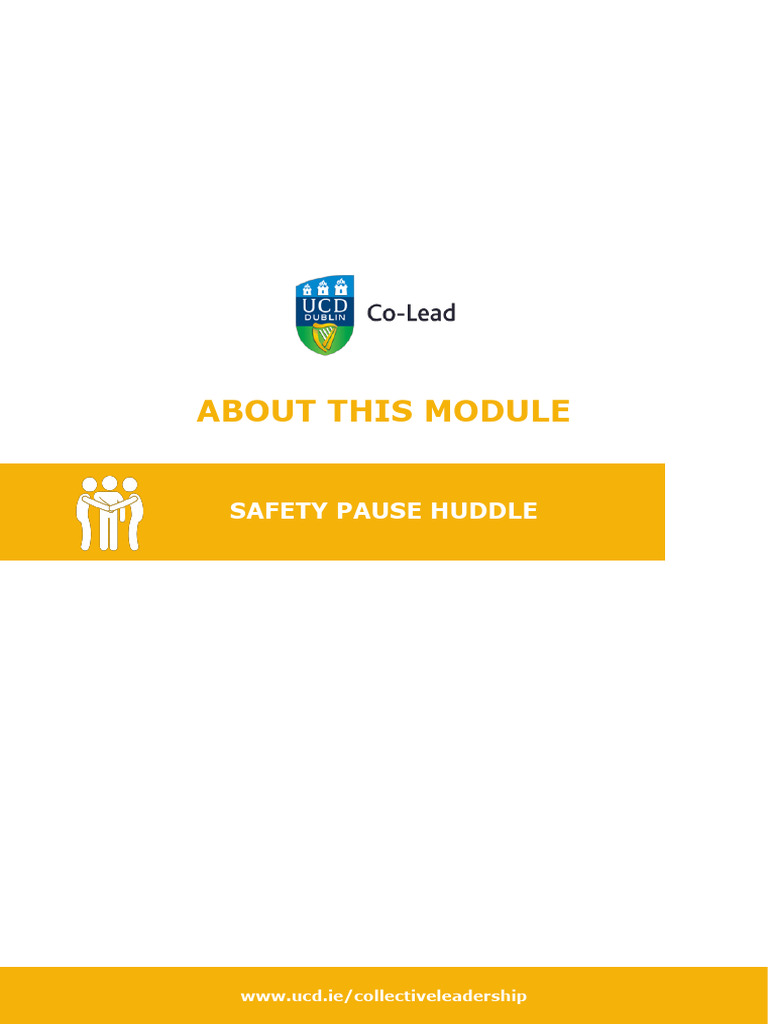 Safety Pause Huddle ONLINE SESSION OUTLINE | PDF | Patient Safety