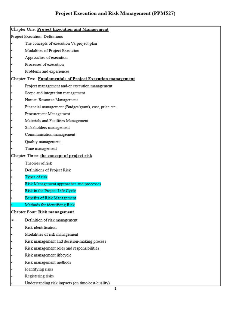 Project Execution and Risk Management | PDF