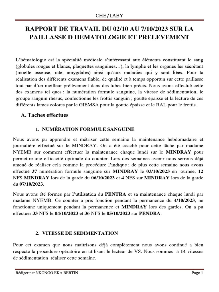 Rapport de Travail | PDF