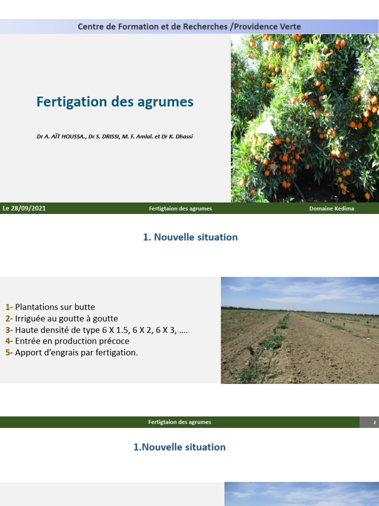 Fertigation Agrumes | PDF