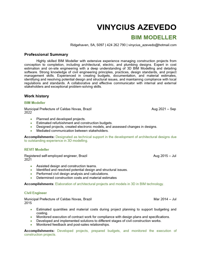 Expert BIM Modeller & Civil Engineer | PDF | Art
