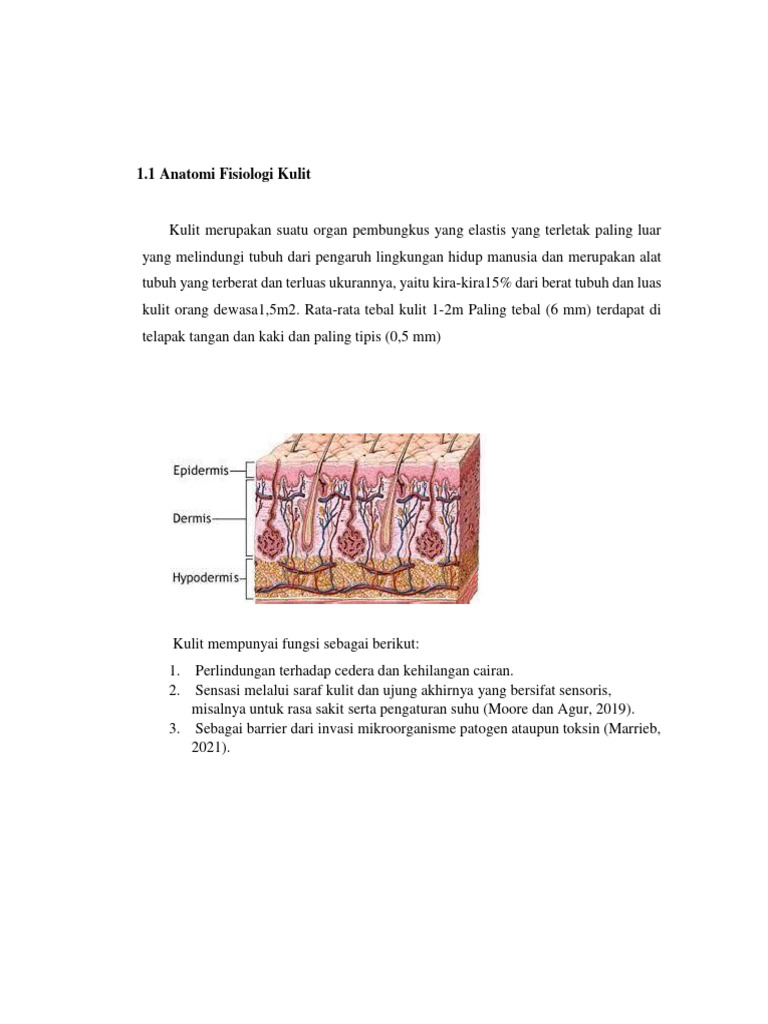 Anfis Kulit LP Prasat | PDF | Ilmu Sosial
