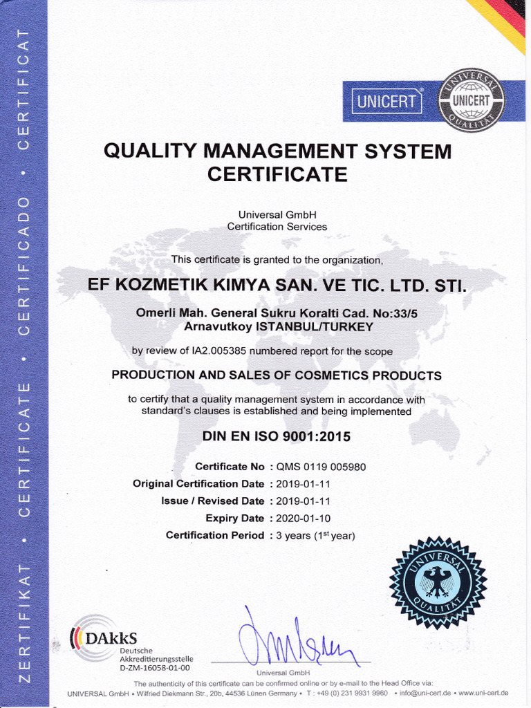 Iso 4385 Ef QMS en | PDF