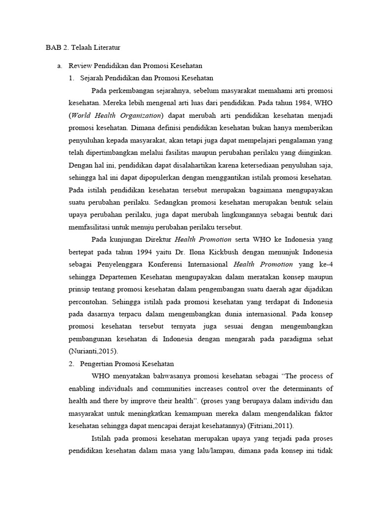 BAB 2 - REVIEW PROMKES Dan Pengertian Aplikasi Behavior | PDF