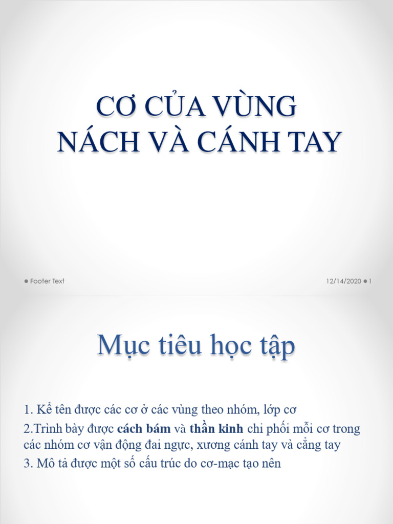 LEC 2 (Cơ Vùng Nách Và Cánh Tay) | PDF
