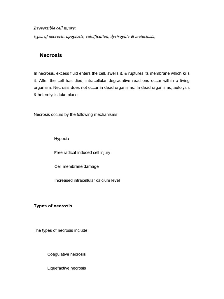 Lecture 2 BPT Pathology | PDF