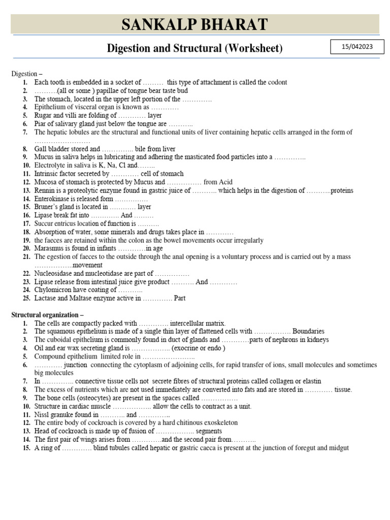 Digestion and Structural Worksheet | PDF
