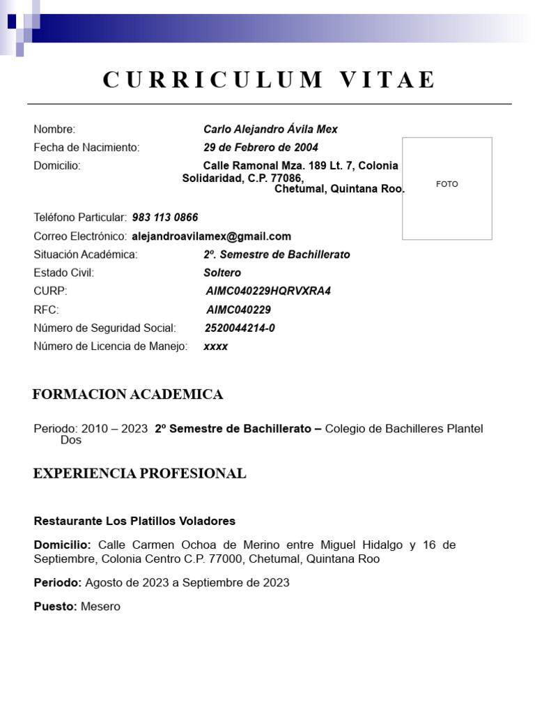 Curriculum | PDF | Economias