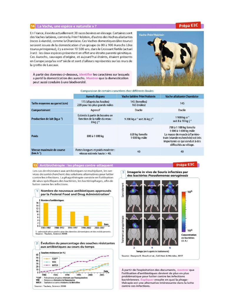 Exercices Du DM en Couleur (1) | PDF