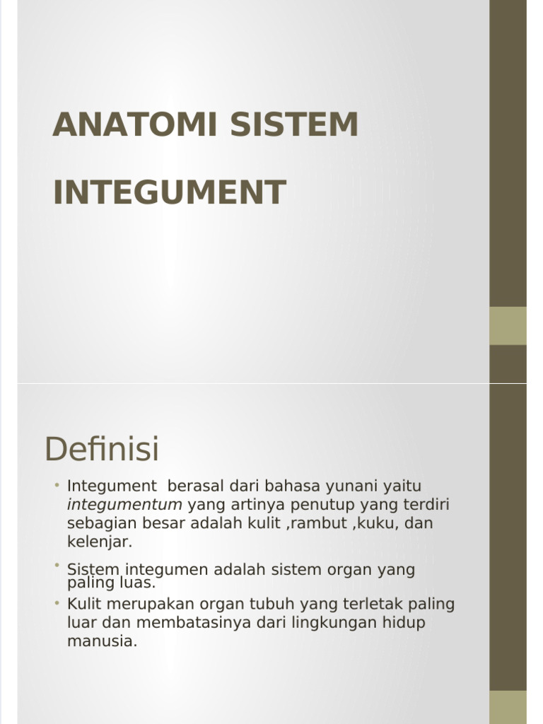 Anfis Sistem Integumen | PDF