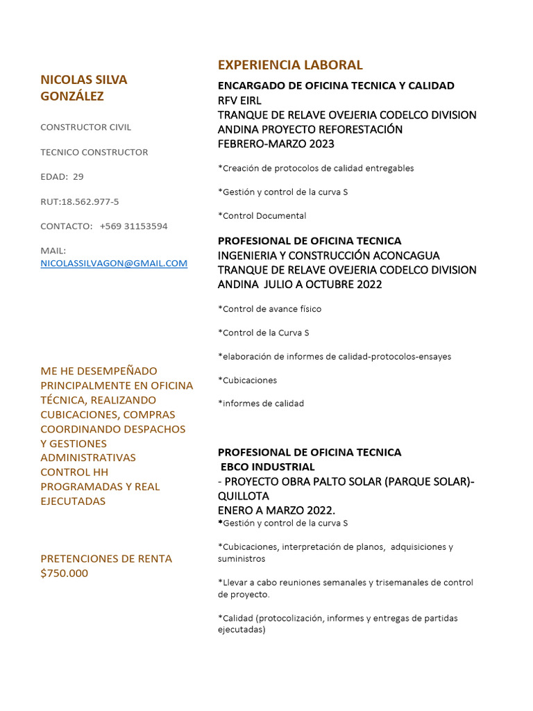 Curriculum Nicolas Silva | PDF