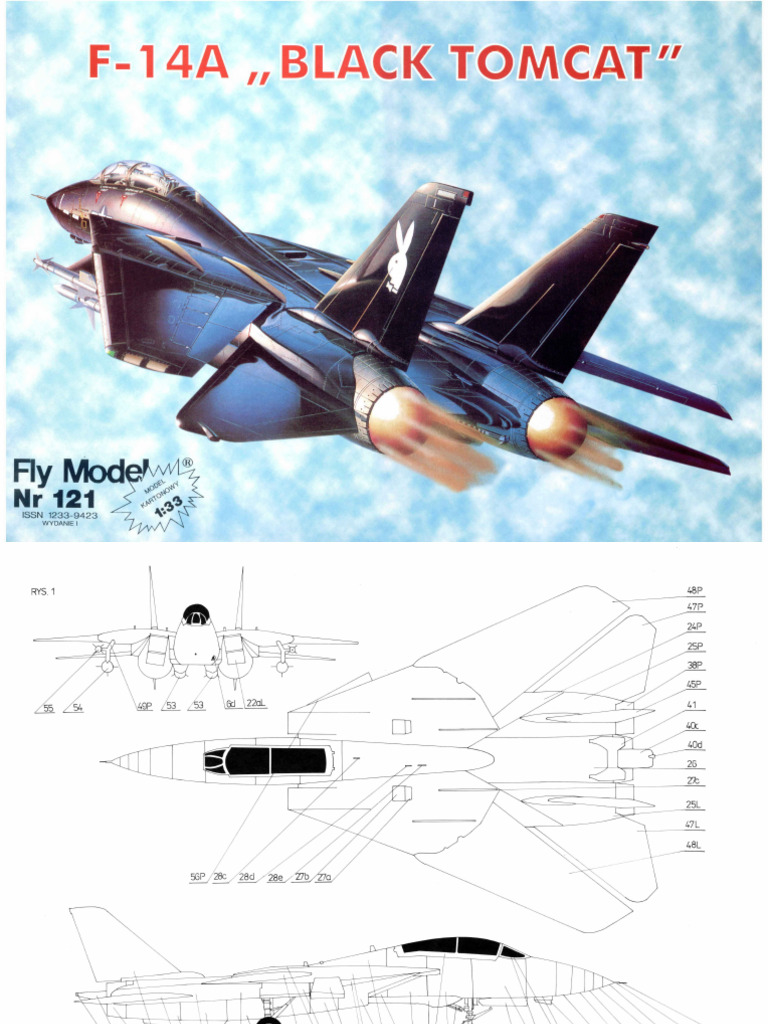 Black Tomcat | PDF