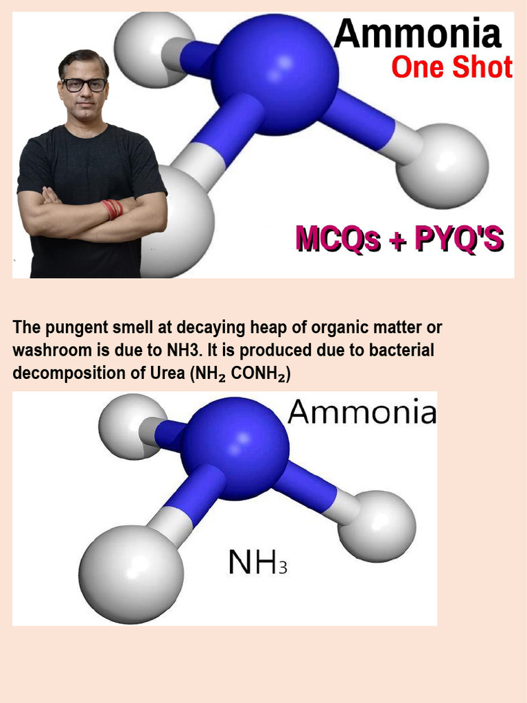 Ammonia | PDF