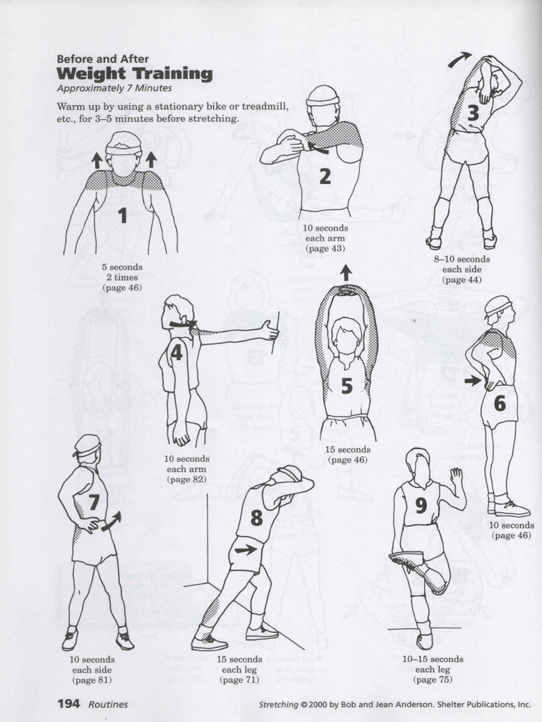 Weight Training Stretches | PDF