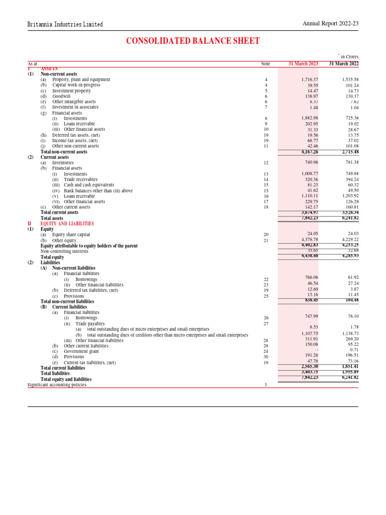 Annual Report Britania | PDF