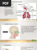 Pathway of Air | PDF
