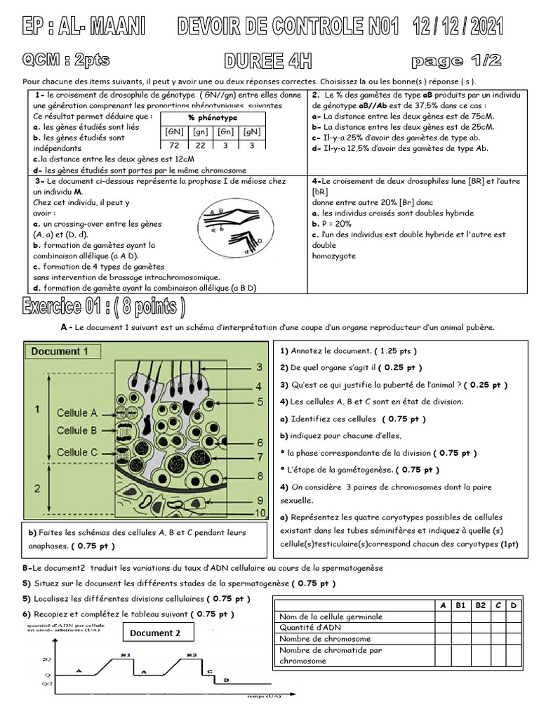 Dev1 ALmaani Teyaret Dec 2021 - 2022 Copie Propre | PDF