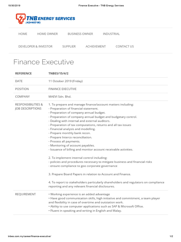 Finance Executive - TNB Energy Services | PDF