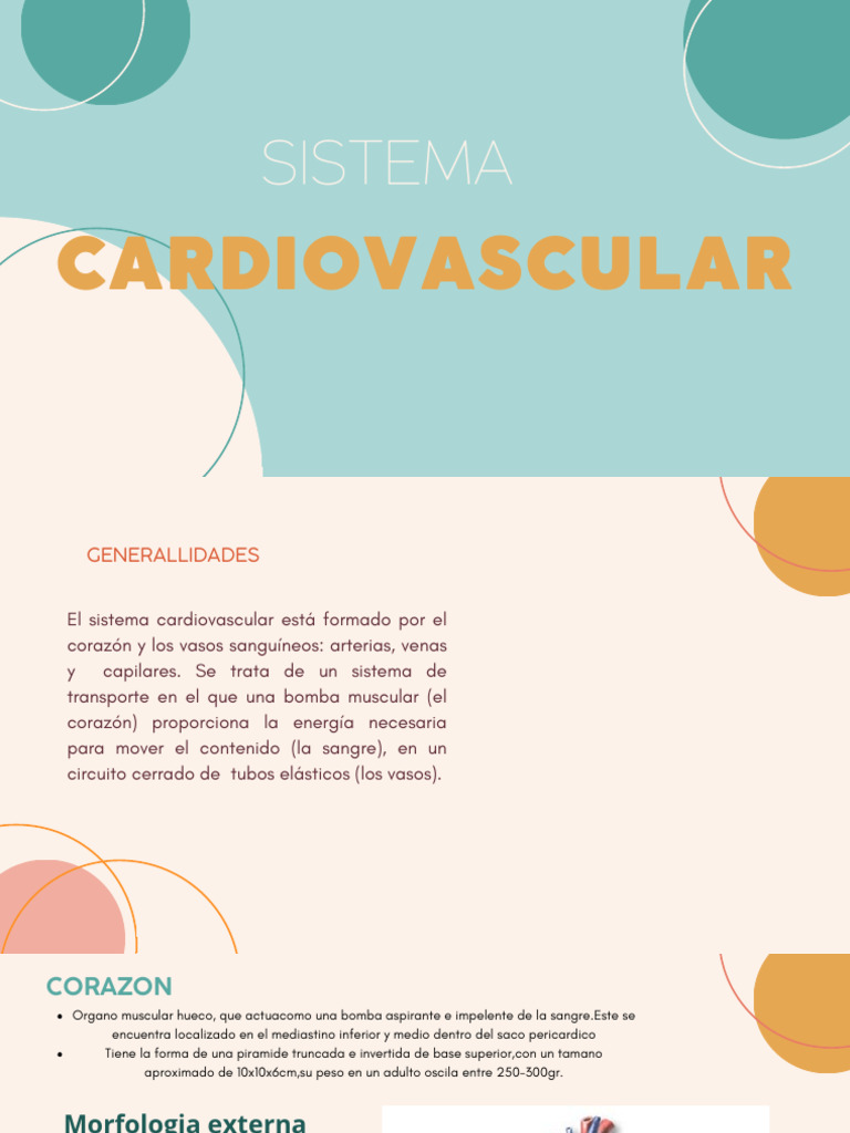 cardio | PDF