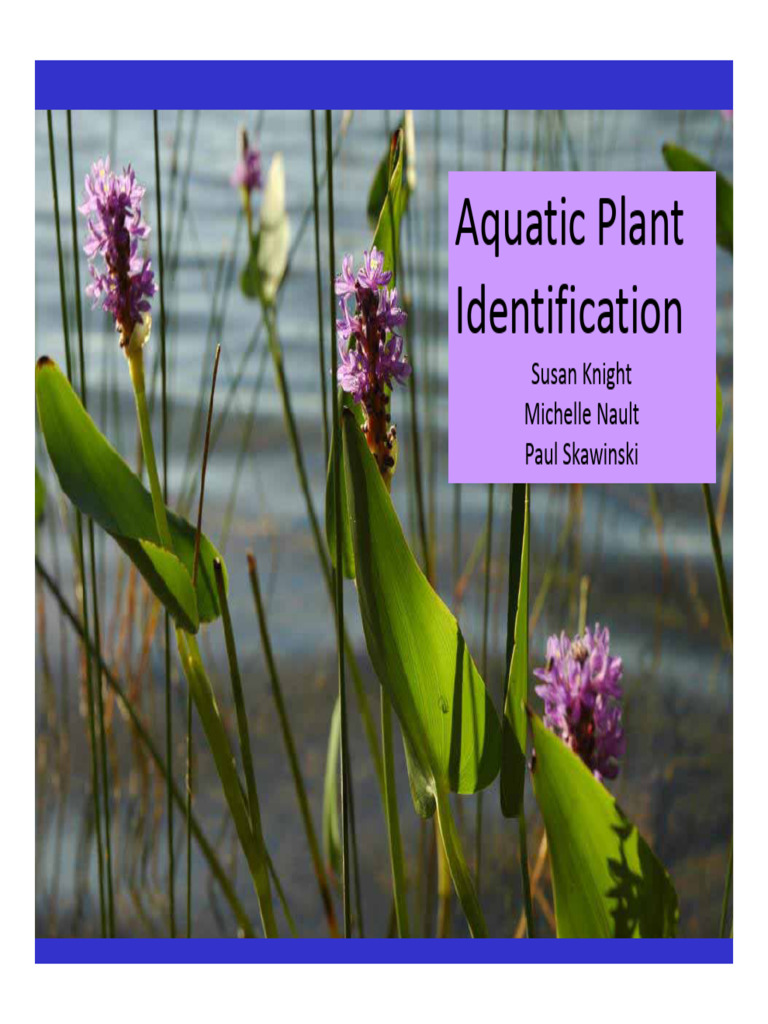 Aquatic Plant Identification: Susan Knight Michelle Nault Paul ...