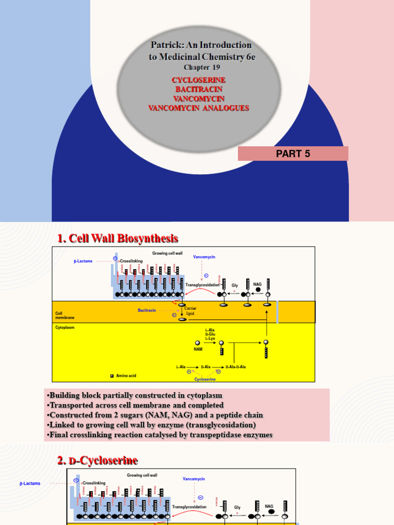 Vancomycin - Part5 | PDF Vancomycin - Part5 | PDF
