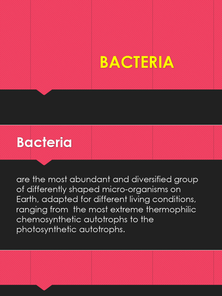 Bacteria | PDF