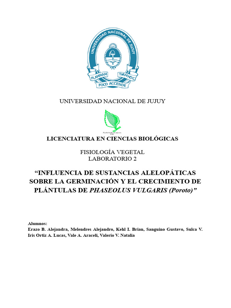 Informe TP2 | PDF