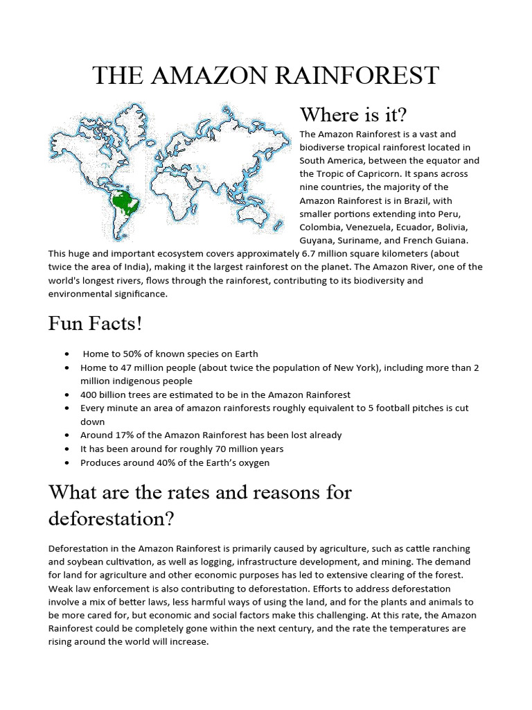 The Amazon Rainforest | PDF