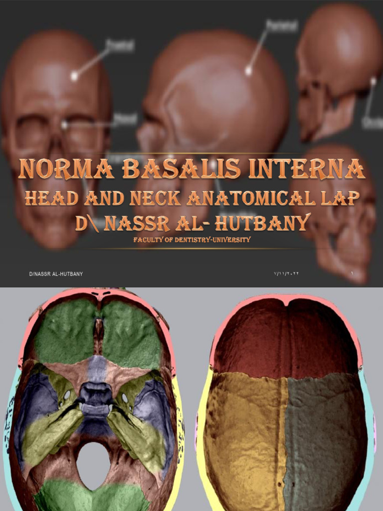 4th H&N Anatomical Lap D Nassr Alhutbany Norma Basalis Interna 2022 ...