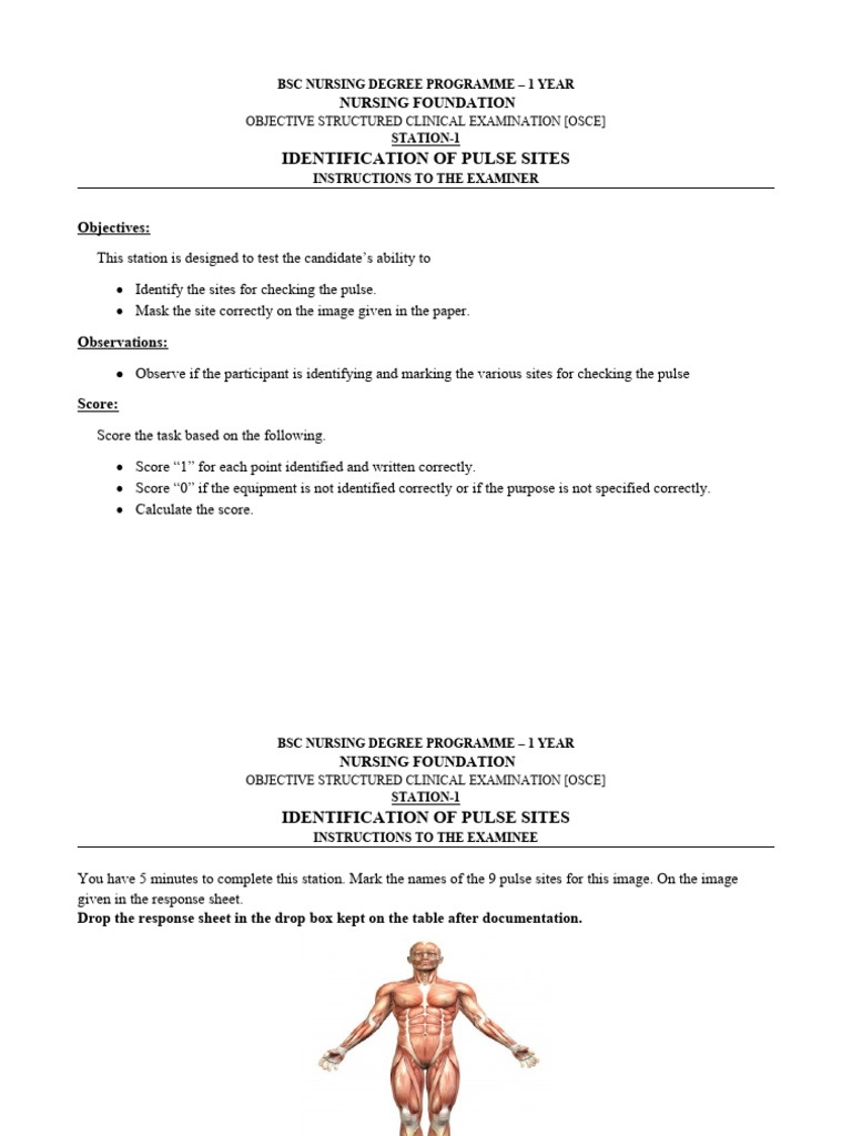 Identification of Pulse Sites: Nursing Foundation | PDF