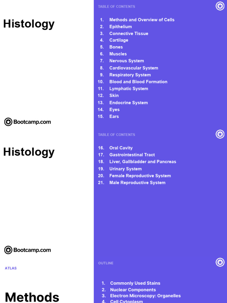 Histology Bootcamp Atlas Overview | PDF