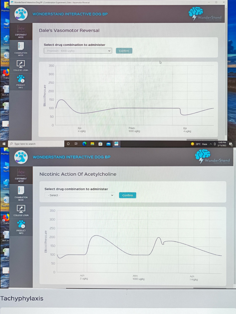 Pharma Graphs | PDF