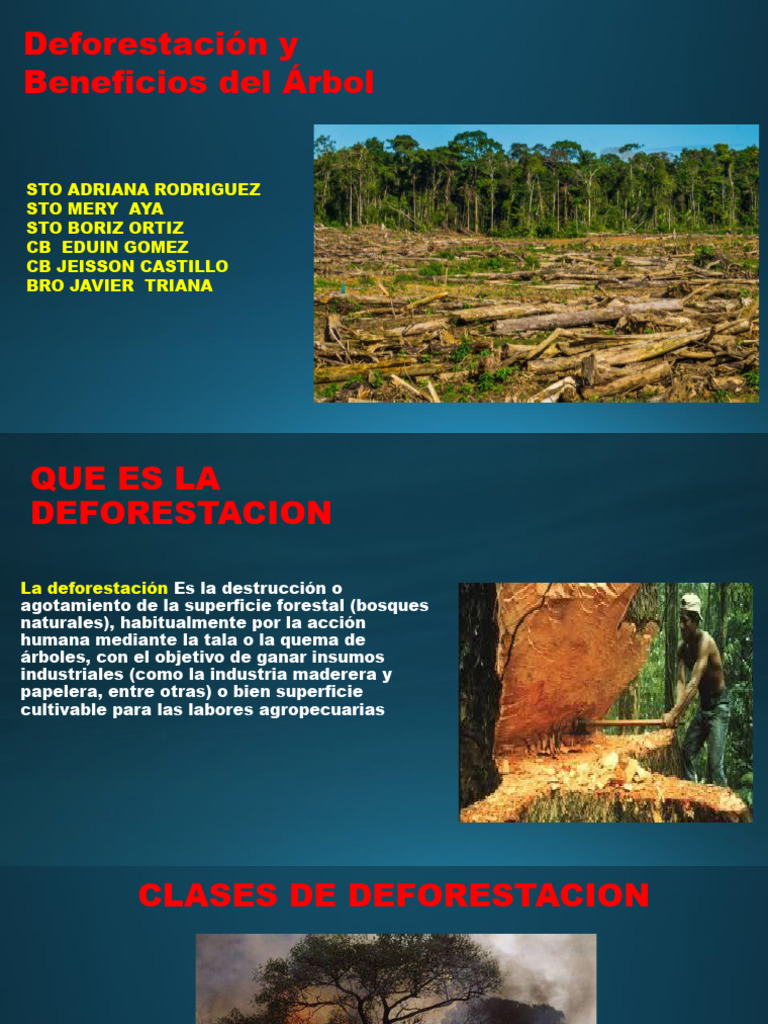 Deforestación: Causas y Beneficios de los Árboles | PDF