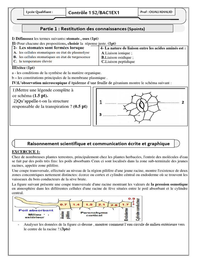 Control 1 Bac 1 Ex | PDF