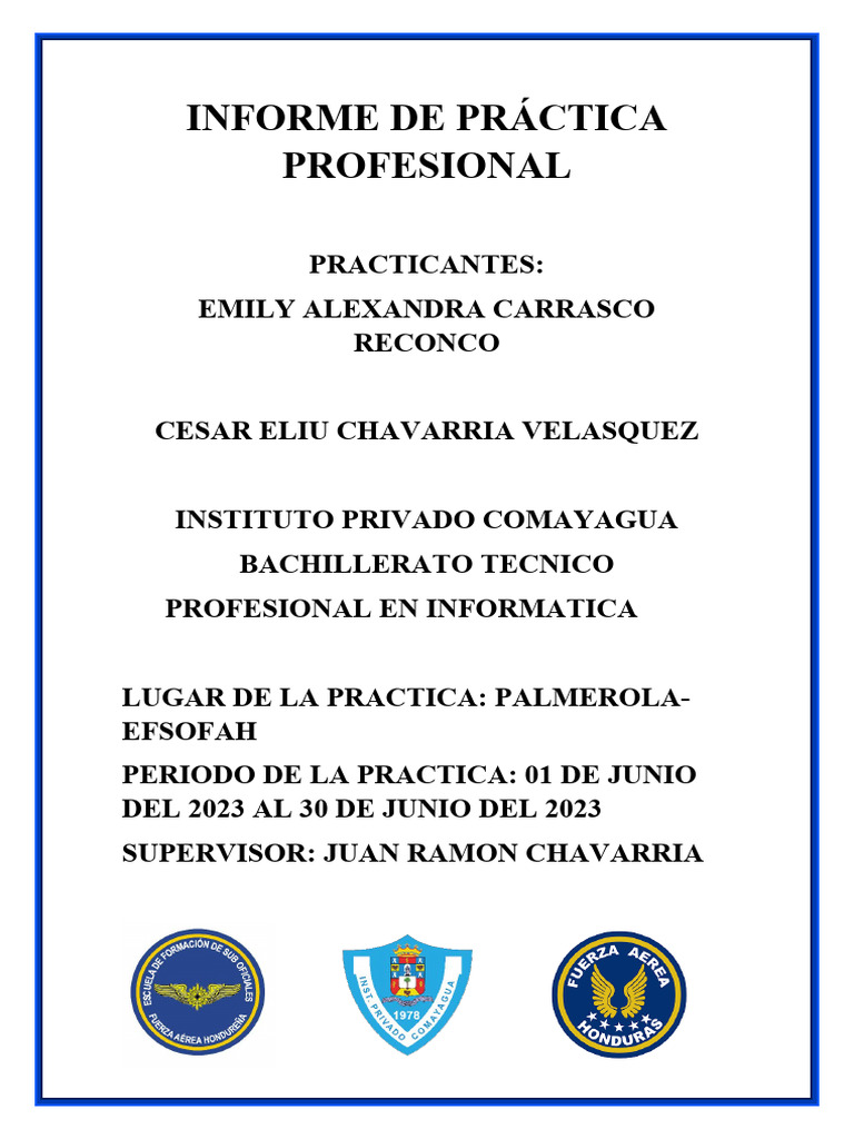 Ola INFORME DE PRÁCTICA PROFESIONAL | PDF