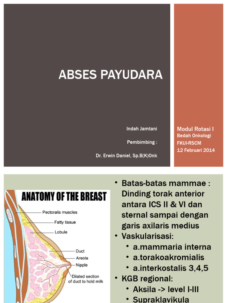 Abses Mammae | PDF