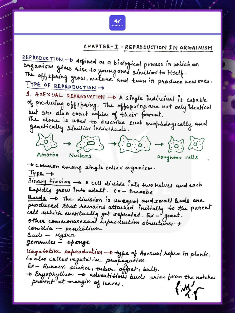 Class 12 Biology Handwritten Notes | PDF