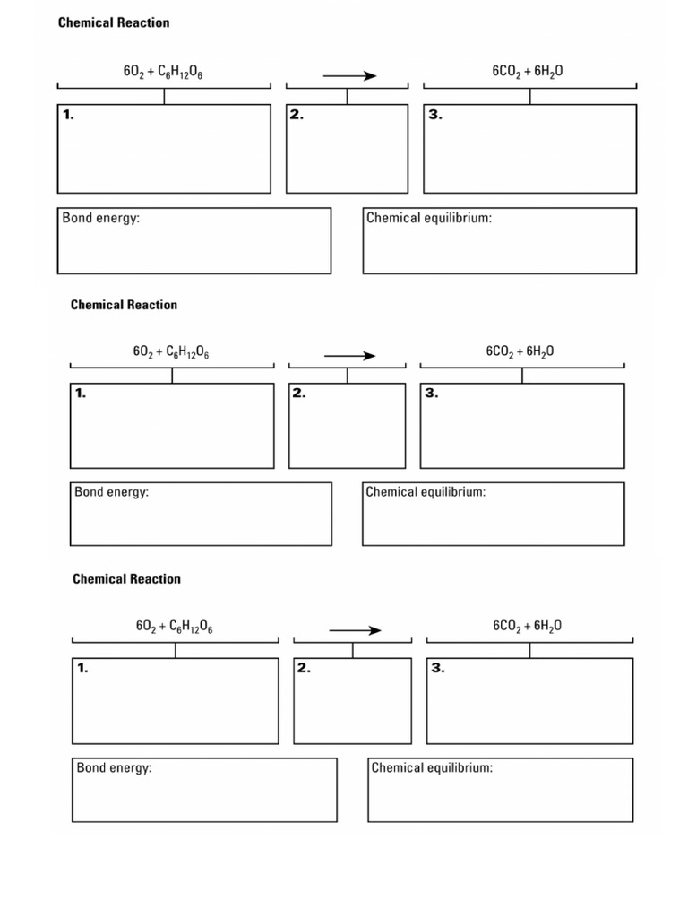 Activity 2 | PDF Activity 2 | PDF