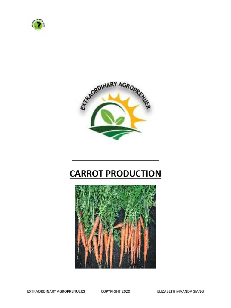 CARROT PRODUCTION | PDF | Carrot | Sowing